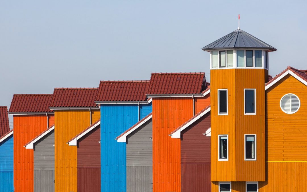 Add vibrant colours: Adorn your space with amazing paints.